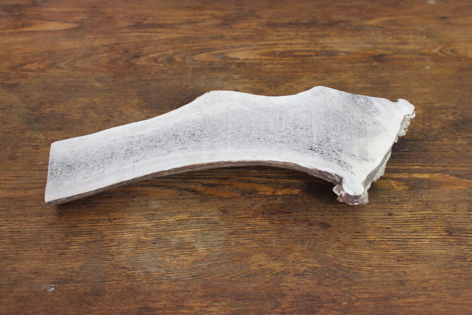 XXL Monster Split Elk Antler Dog Bone - Made in USA - Natural Dog Chew ...