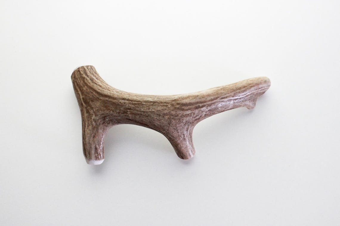 Medium Deer Antler Dog Bone - Made in USA - Natural Dog Chew - Etsy