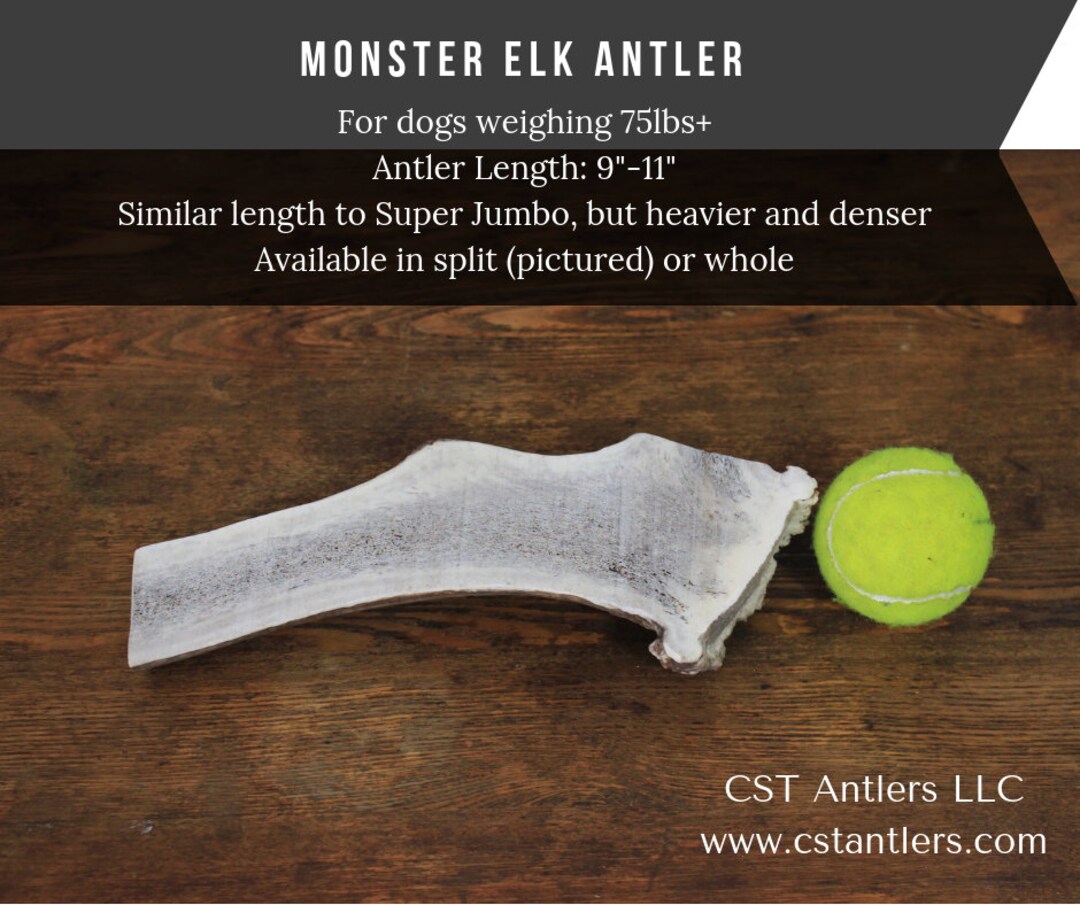 XXL Monster Split Elk Antler Dog Bone - Made in USA - Natural Dog Chew ...