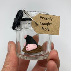 Mole Clay Figure Freshly Caught Mole - Etsy UK