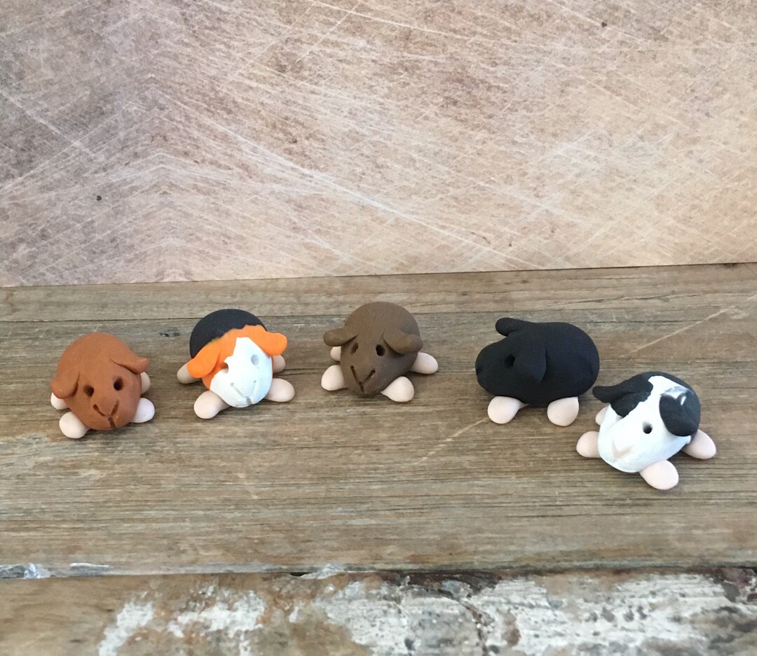 Guinea Pig Model Handmade Clay Figure Little Guinea Pig - Etsy UK