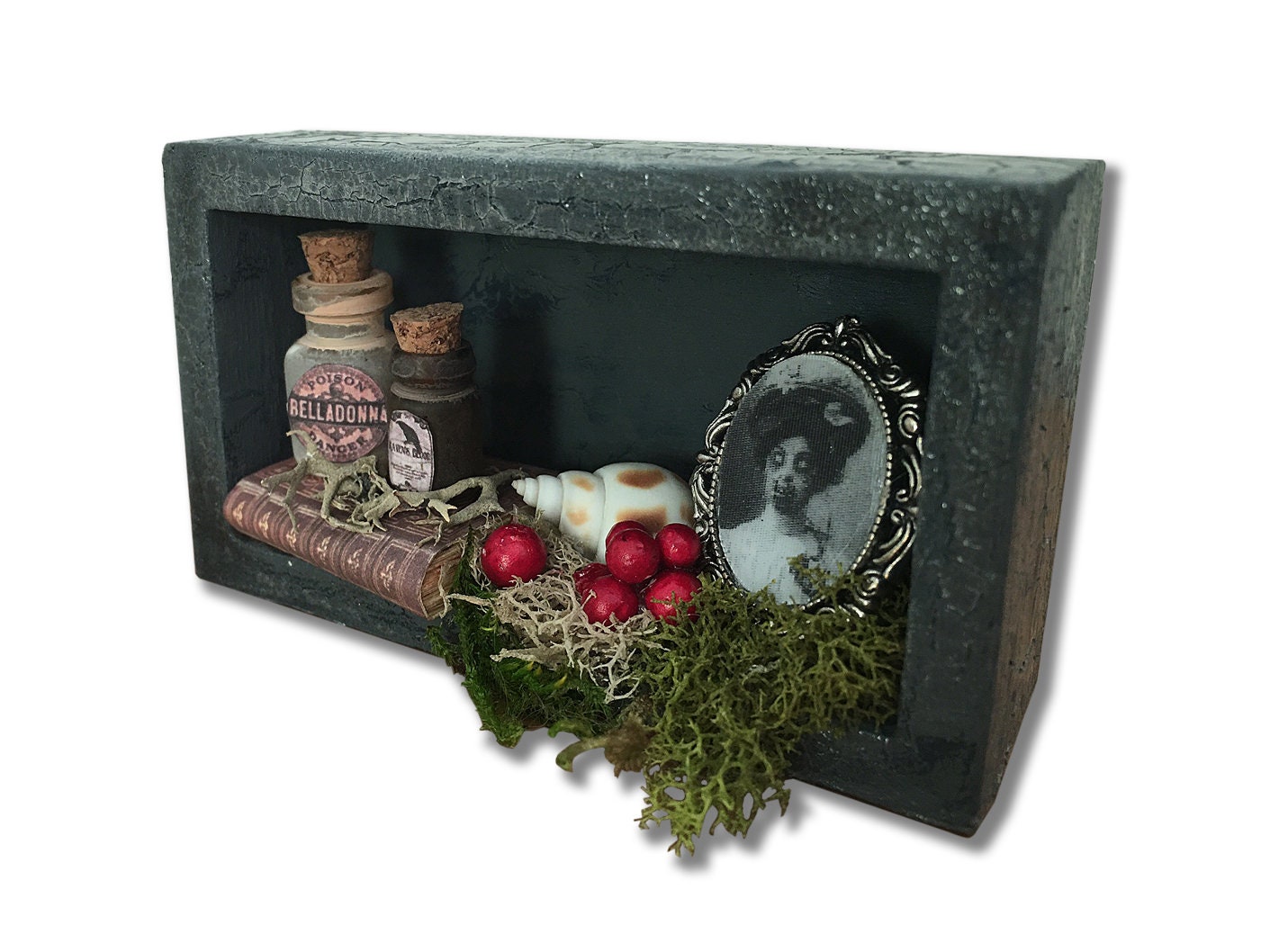 Miniature Haunted, Witch, Spooky Shadow Box, Shelf Apothecary, Magic ...