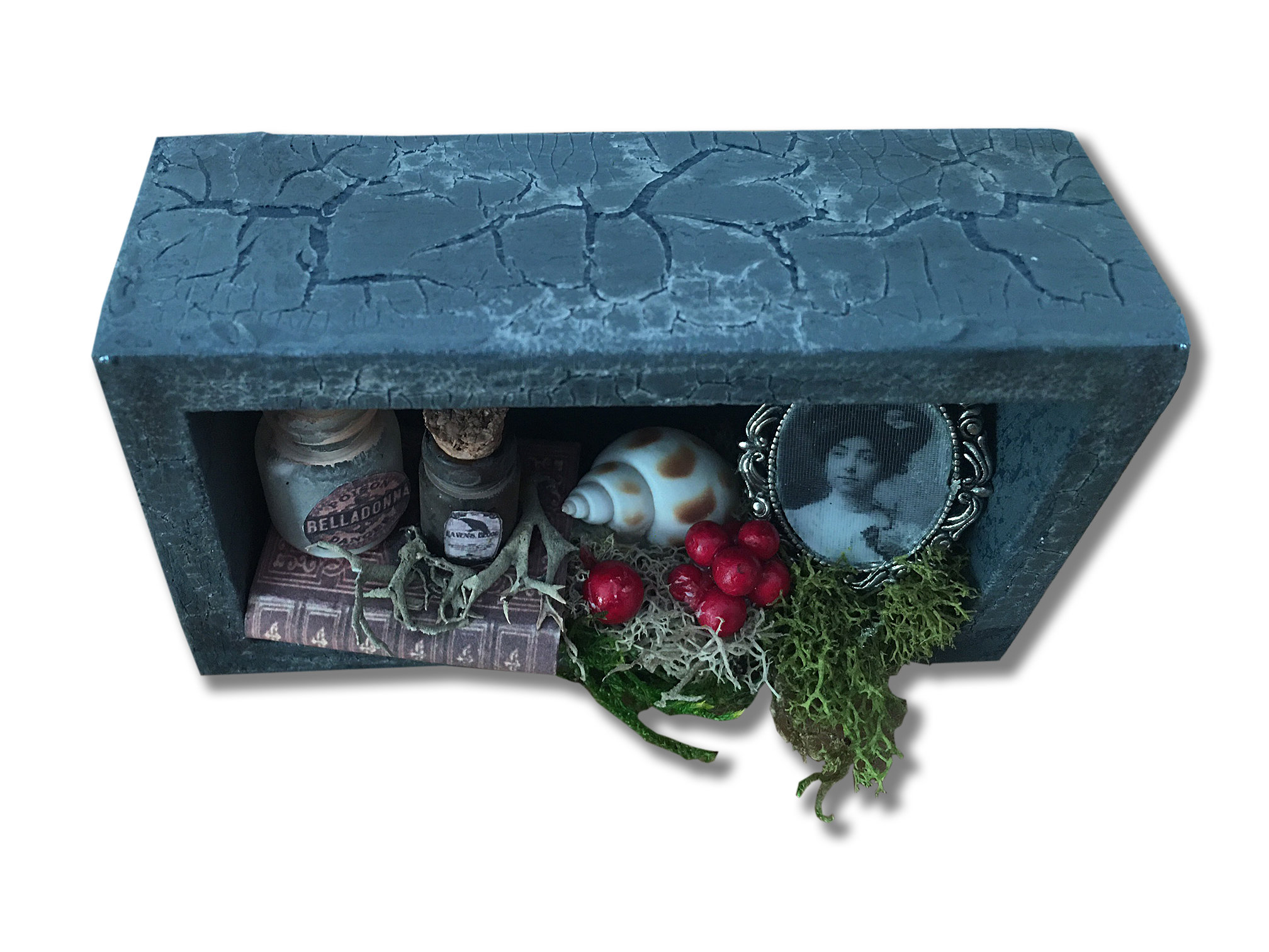 Miniature Haunted, Witch, Spooky Shadow Box, Shelf Apothecary, Magic ...