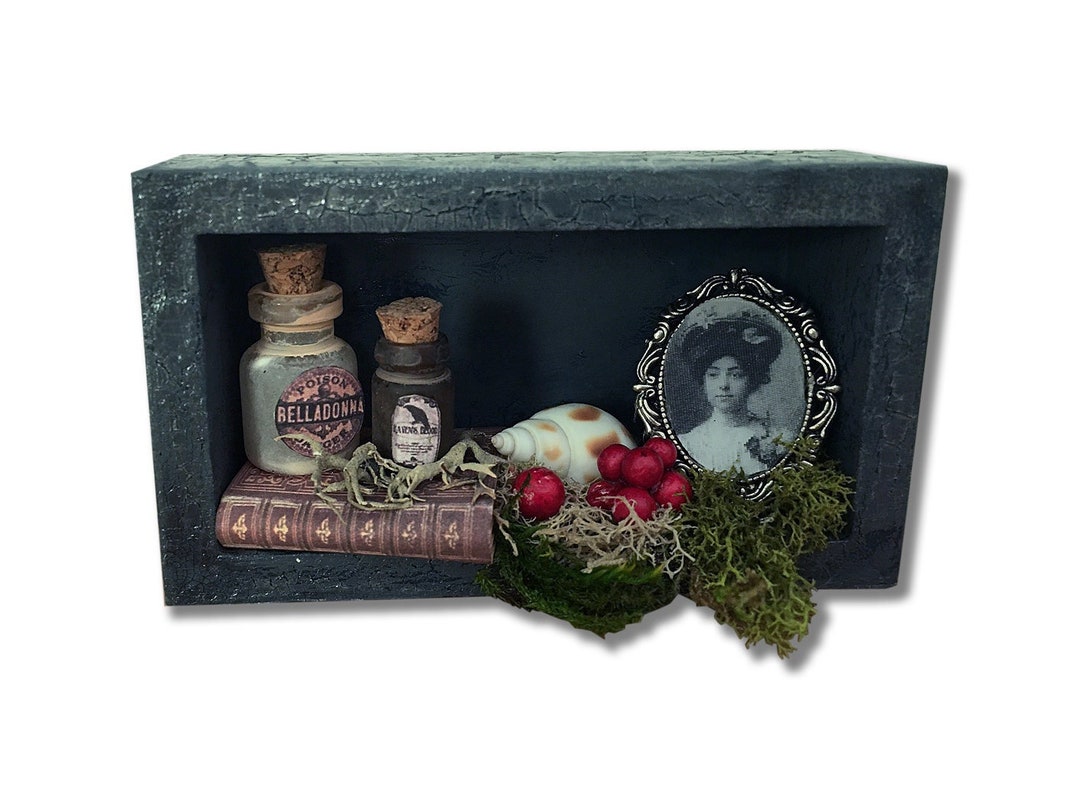 Miniature Haunted, Witch, Spooky Shadow Box, Shelf Apothecary, Magic ...