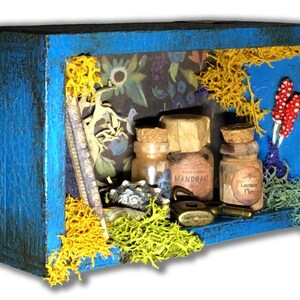 Miniature Antique Apothecary Shadow Box, Shelf - Witch, Magic Spells ...