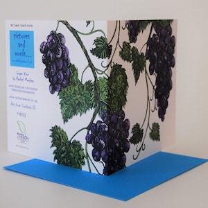 2 Sheets of Decorative Gift Wrapping Paper Featuring My Grape Vine ...