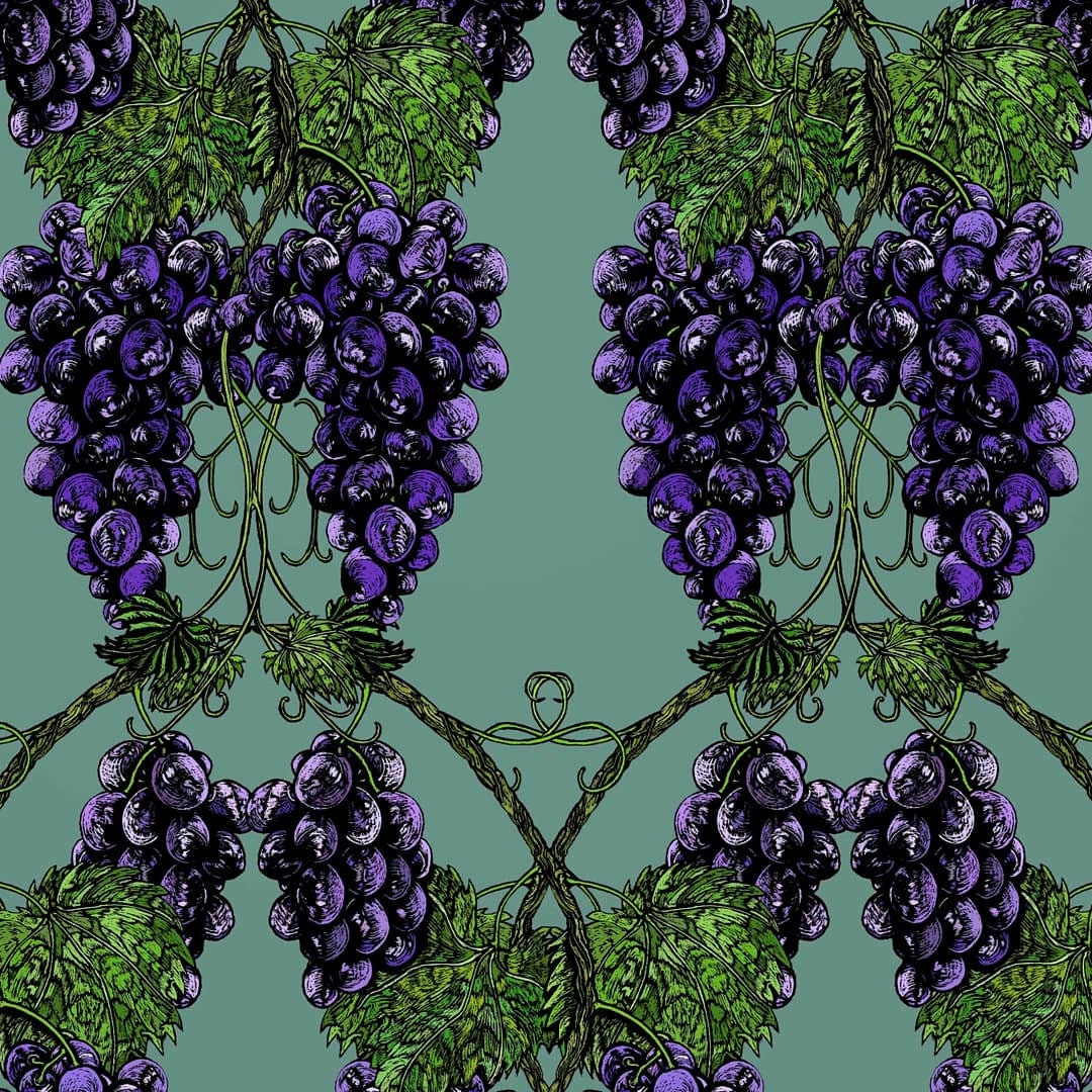2 Sheets of Decorative Gift Wrapping Paper Featuring My Grape Vine ...