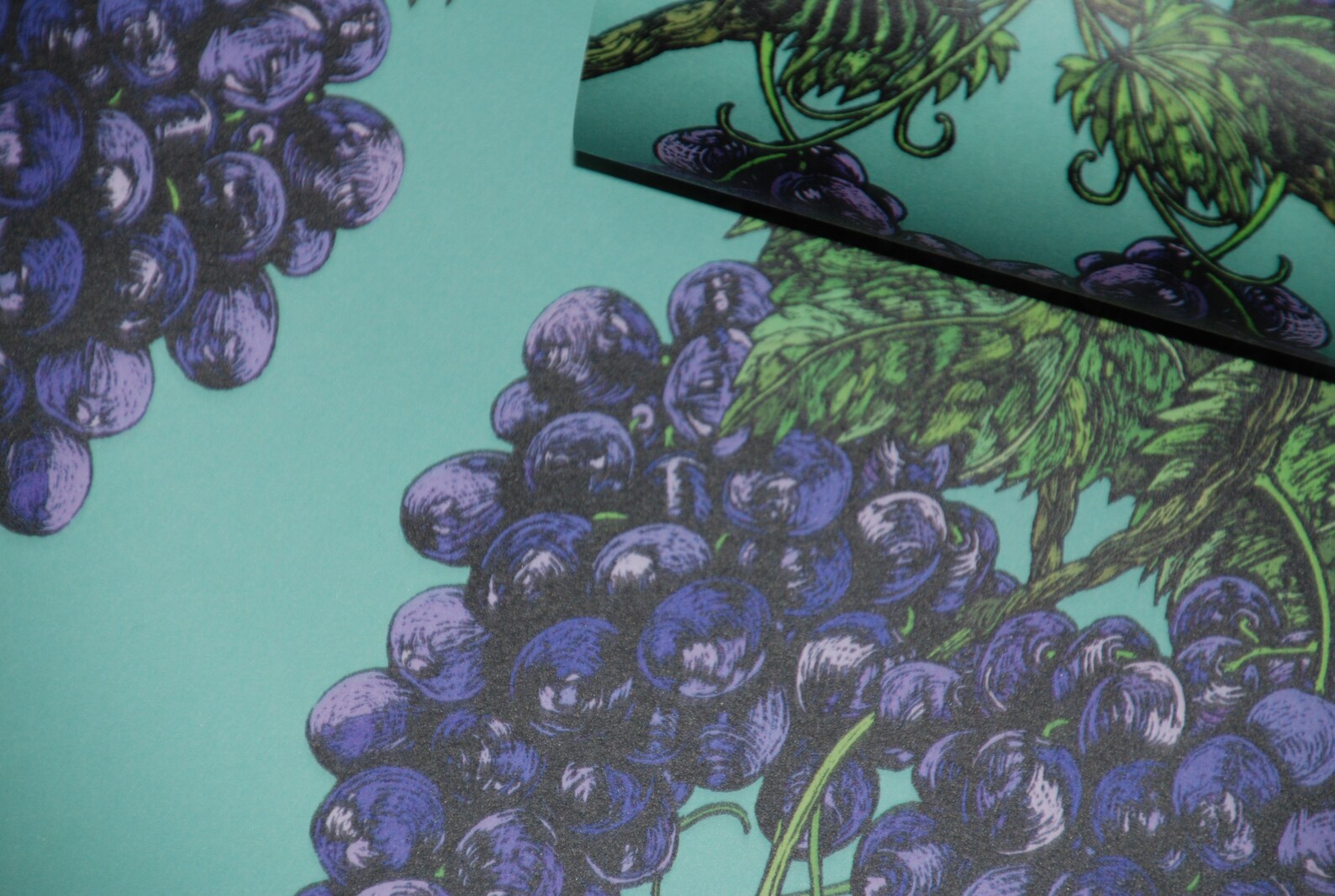 2 Sheets of Decorative Gift Wrapping Paper Featuring My Grape - Etsy UK
