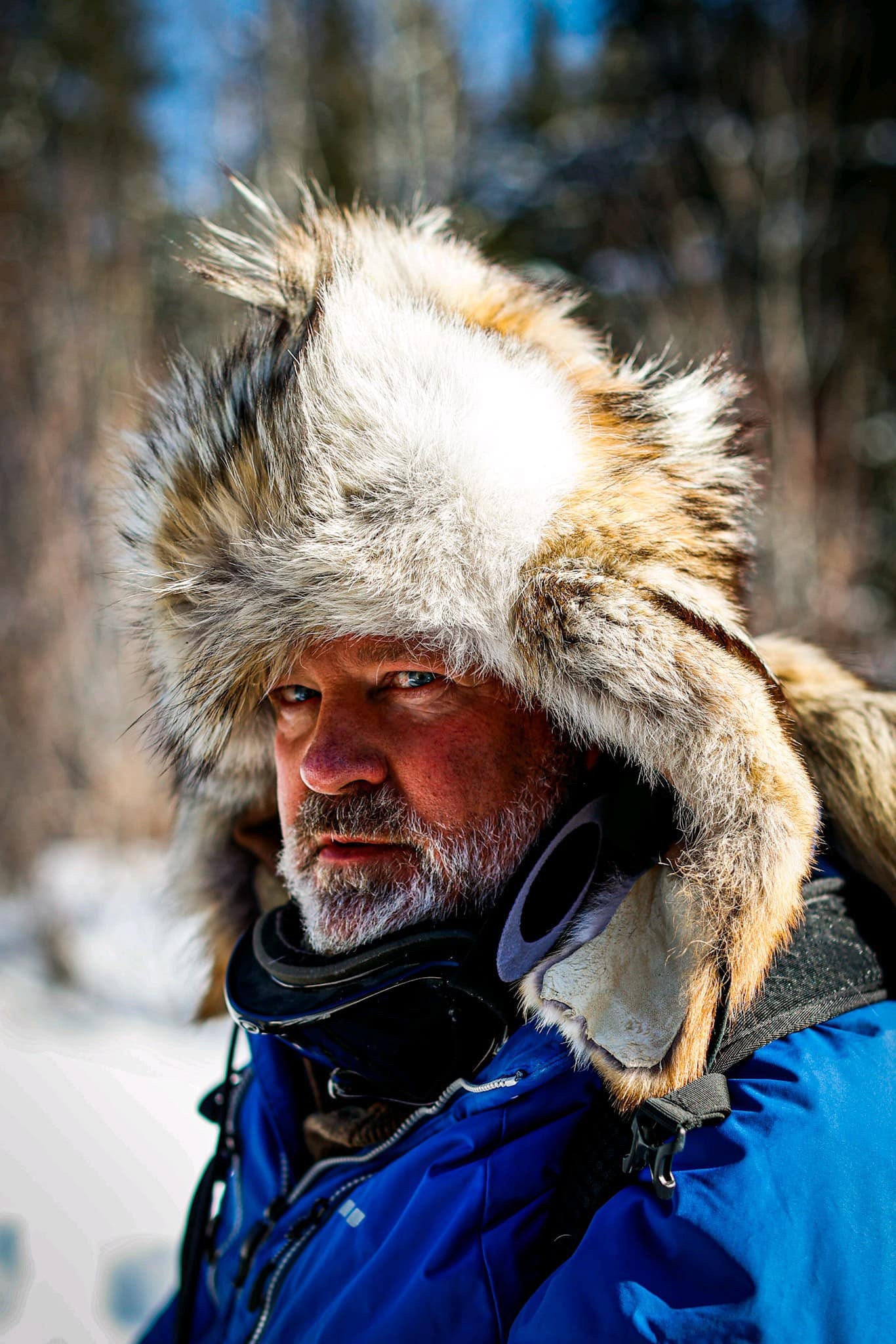 Coyote Mongolian Style Fur Hat - Etsy