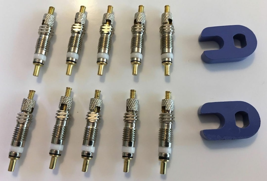 10 Raceready ..presta Valve Cores + 2 Violet Presta Valve Core Removers ...