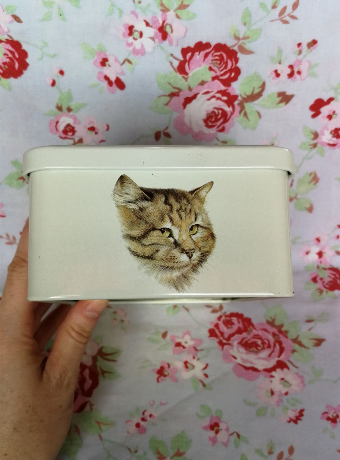 So Kitsch Vintage French Siamese Cat Cookie Tin Made in | Etsy