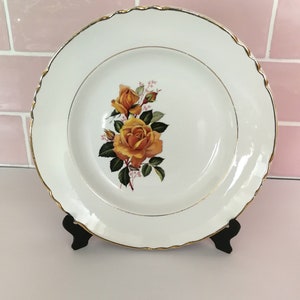 5 Moulin Des Loups Mantoue Deep Pasta Plates Made in France Vintage ...