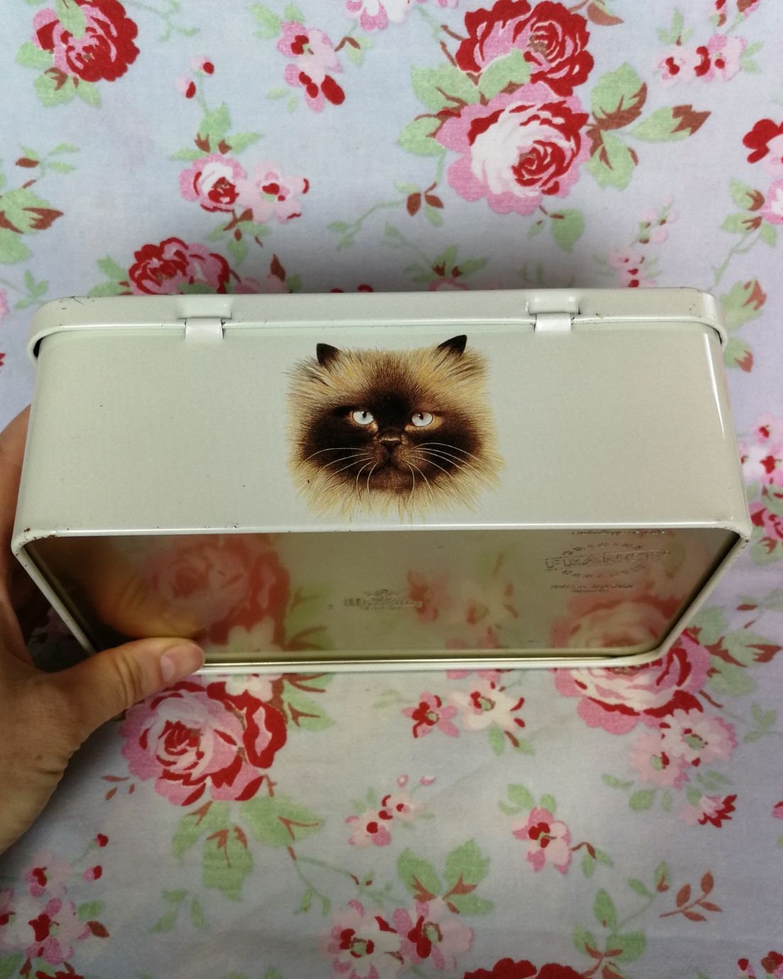 So Kitsch Vintage French Siamese Cat Cookie Tin Made in | Etsy