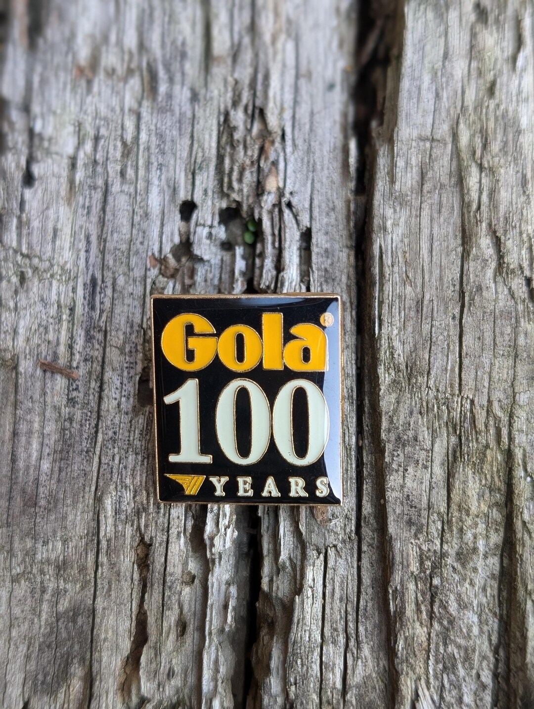 Vintage Gola 100 Years Pin Badge • Retro British Sports Brand Enamel ...