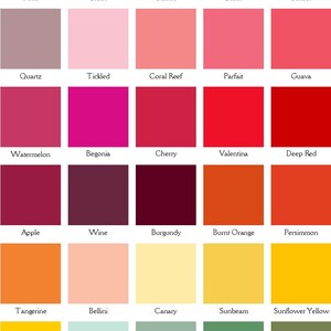 Infographic Wedding Program-in Memory, Thank You, Honeymoon, Hashtag ...