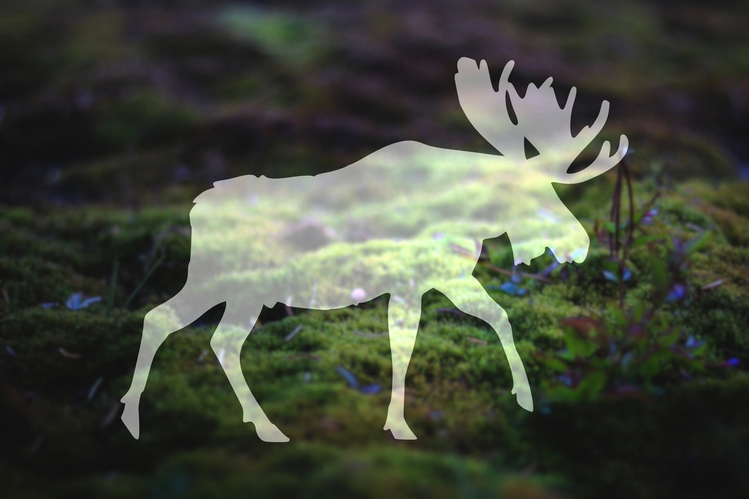 Moose Decal | Moose Silhouette | Car Decal | Laptop Decal | Animal Sticker | Tumbler Decal ...