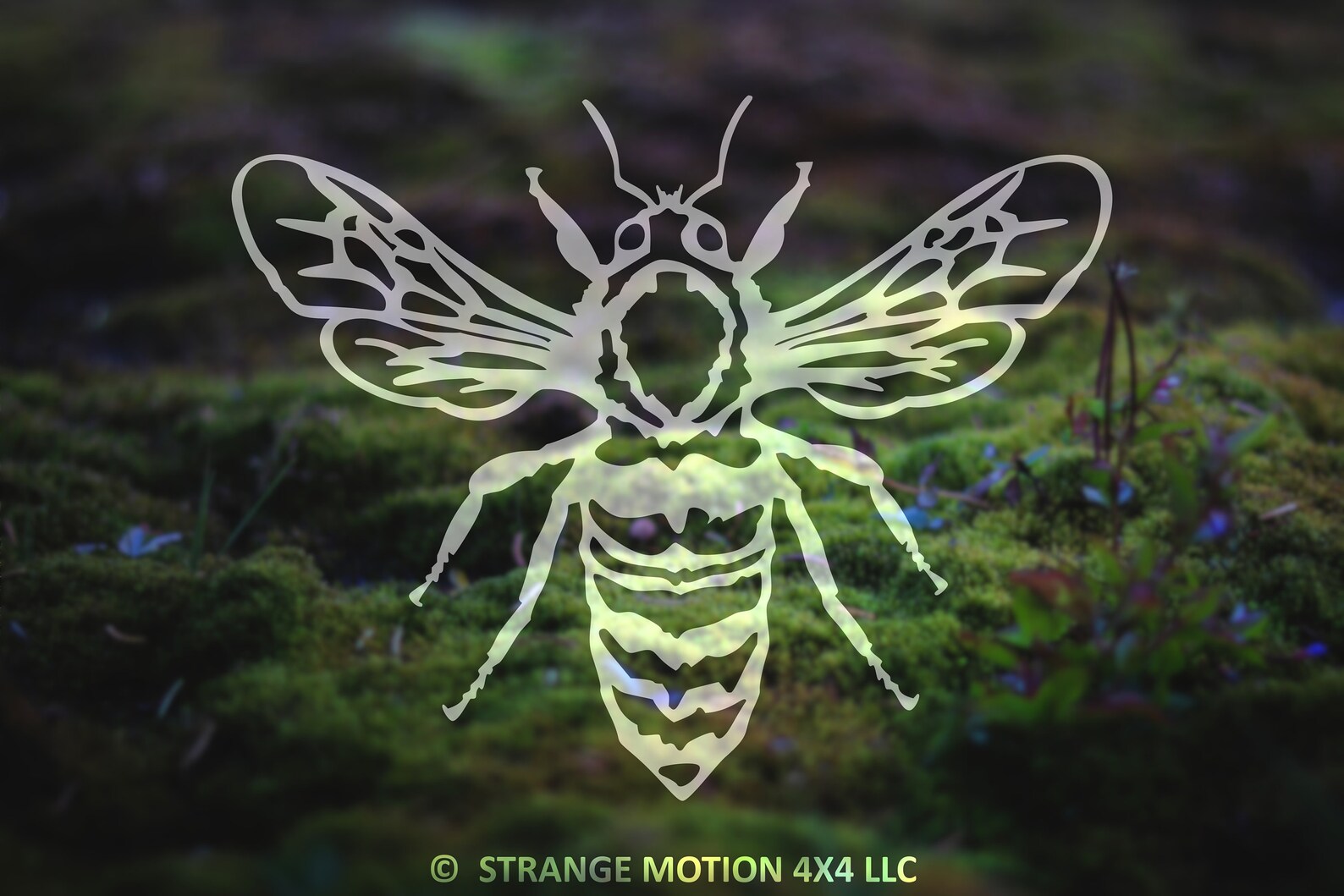 Honey Bee Decal, Car Decals, Wasp Stickers, Laptop Decal, Beekeeper ...