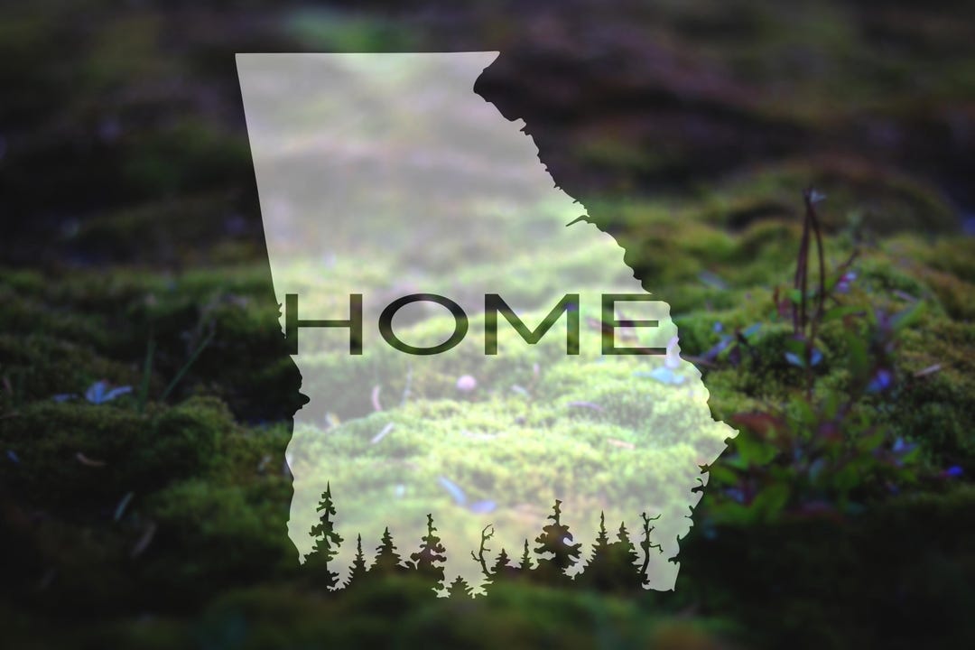 Georgia Decal, Home Decals, Car Sticker, Nature Decal, Adventure GA ...