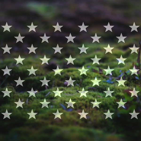 American Flag Star Stencil - Etsy