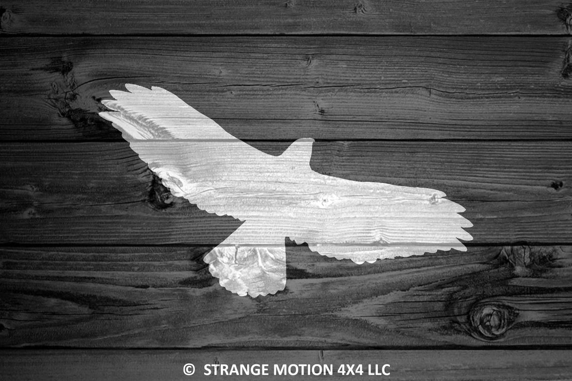 Hawk Decal Car Decals Hawk Sticker Crow Stickers Laptop - Etsy