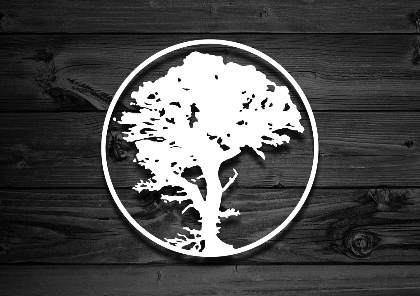 Tree Decal Car Decal Outdoor Decal Adventure Decal Tree of - Etsy