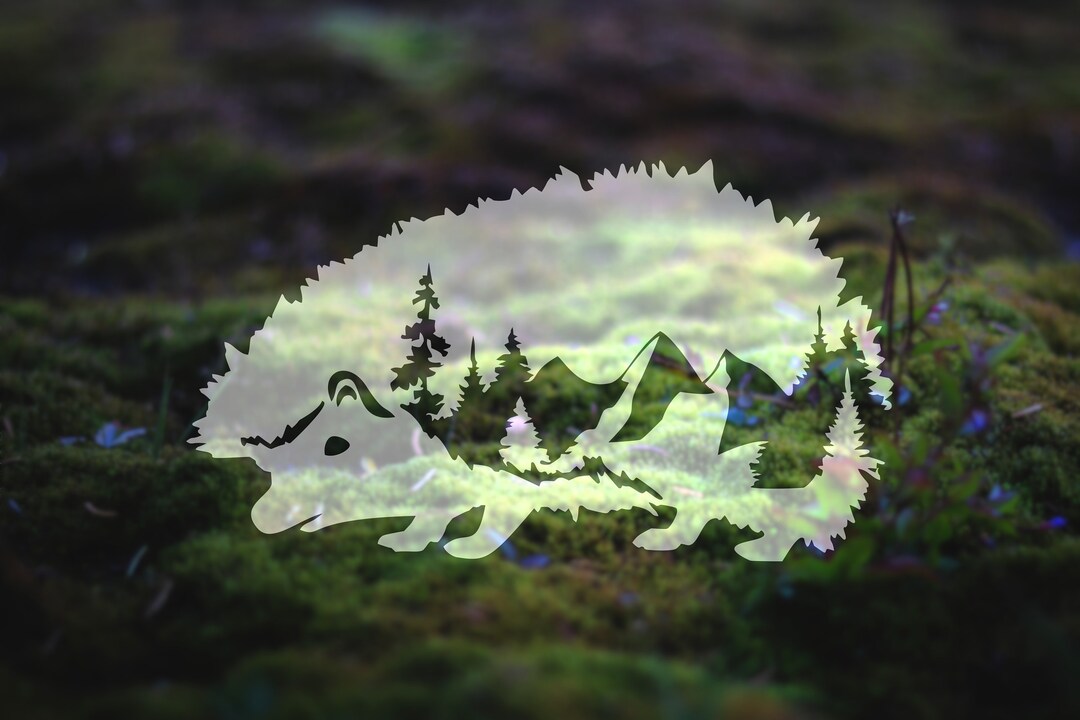Hedgehog Decal, Car Decals, Mountain Stickers, Laptop Decal, Adventure ...