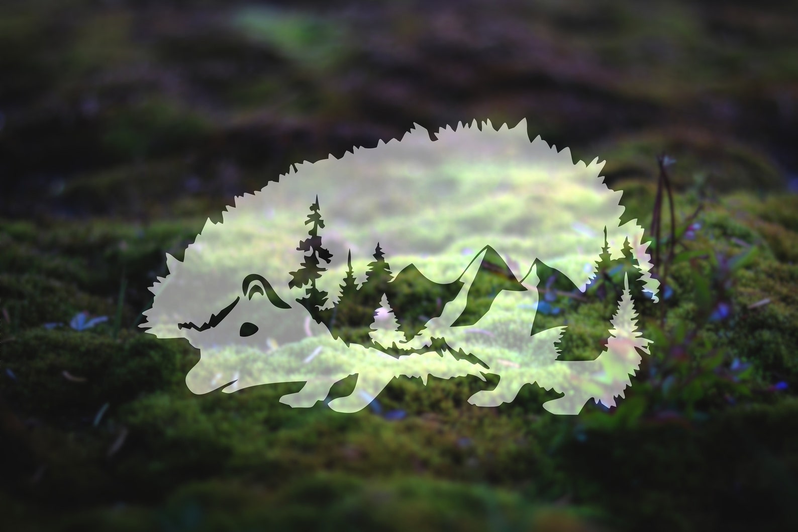 Hedgehog Decal, Car Decals, Mountain Stickers, Laptop Decal, Adventure ...