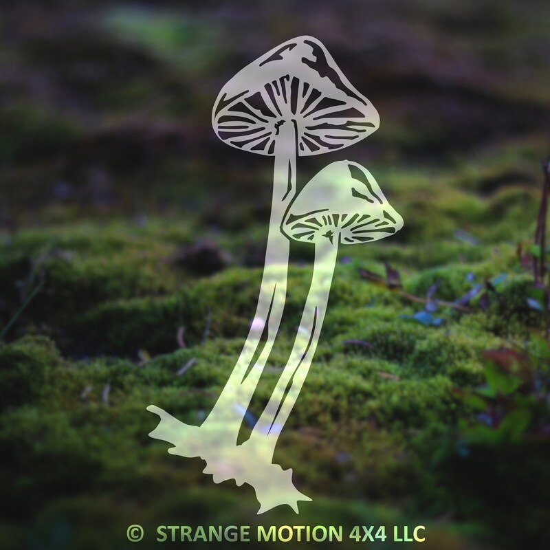 Mushroom Wall Decals - Etsy