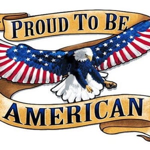 Proud to Be American Alumilite Pen Blank - Etsy