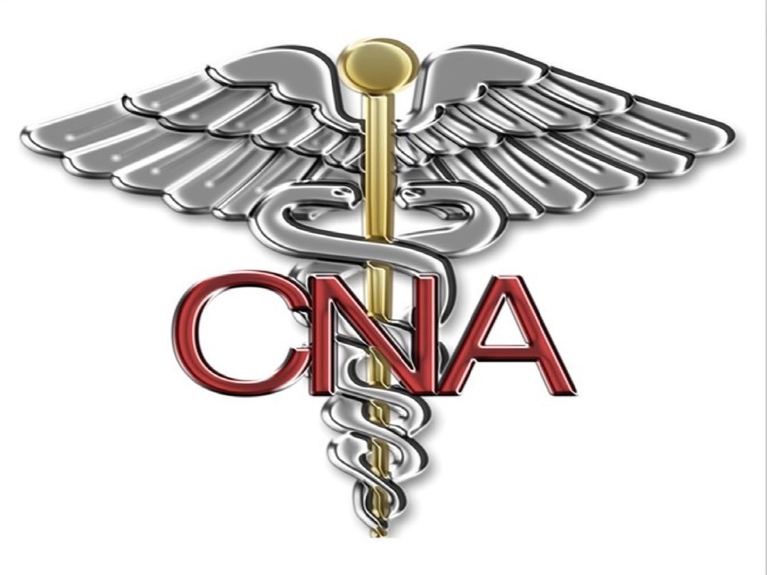 CNA Caduceus Medical Symbol Alumilite Pen Blank - Etsy