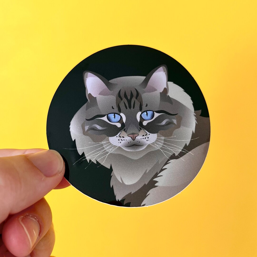 Adorable Grey Cat Sticker - Etsy