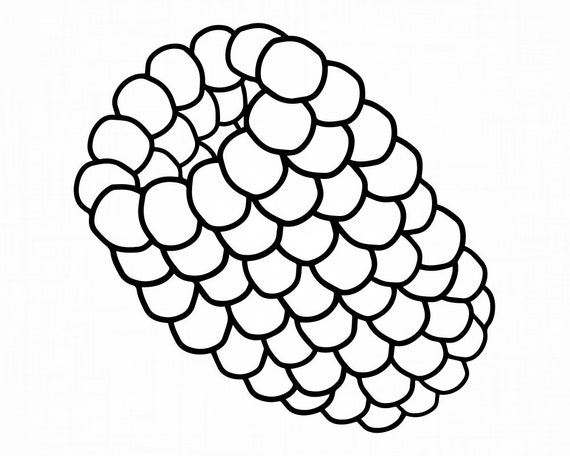 Pdf Eps Raspberry Outline Svg Dxf Raspberry Files For Cricut Raspberry ...