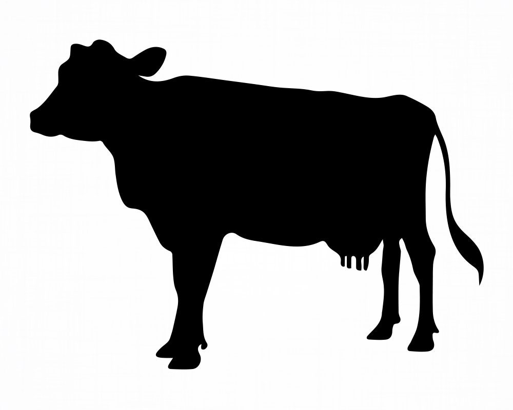 Dairy Cow 2 Svg Cow Svg Cattle Svg Heifer Svg Cow Cut | Etsy