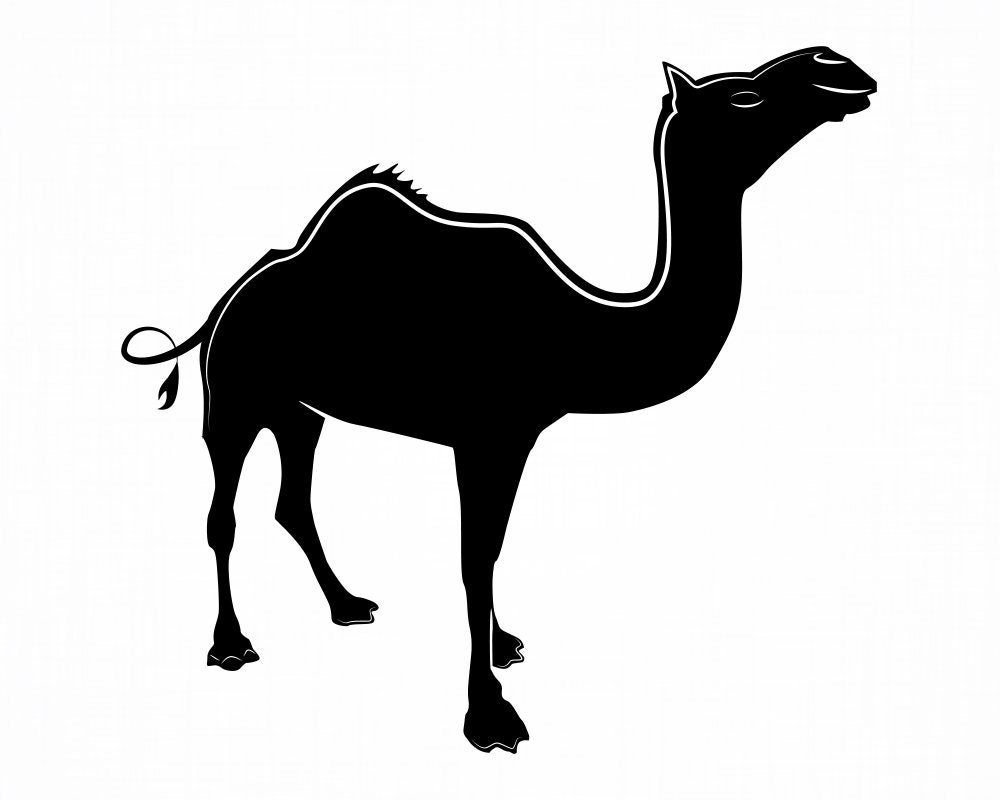 Camel 8 Svg Camel Svg Desert Svg Camel Cut Files Camel | Etsy