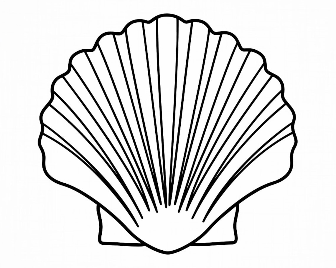 Seashell Design Outline Svg Seashell Svg Sea Shell Svg | Etsy