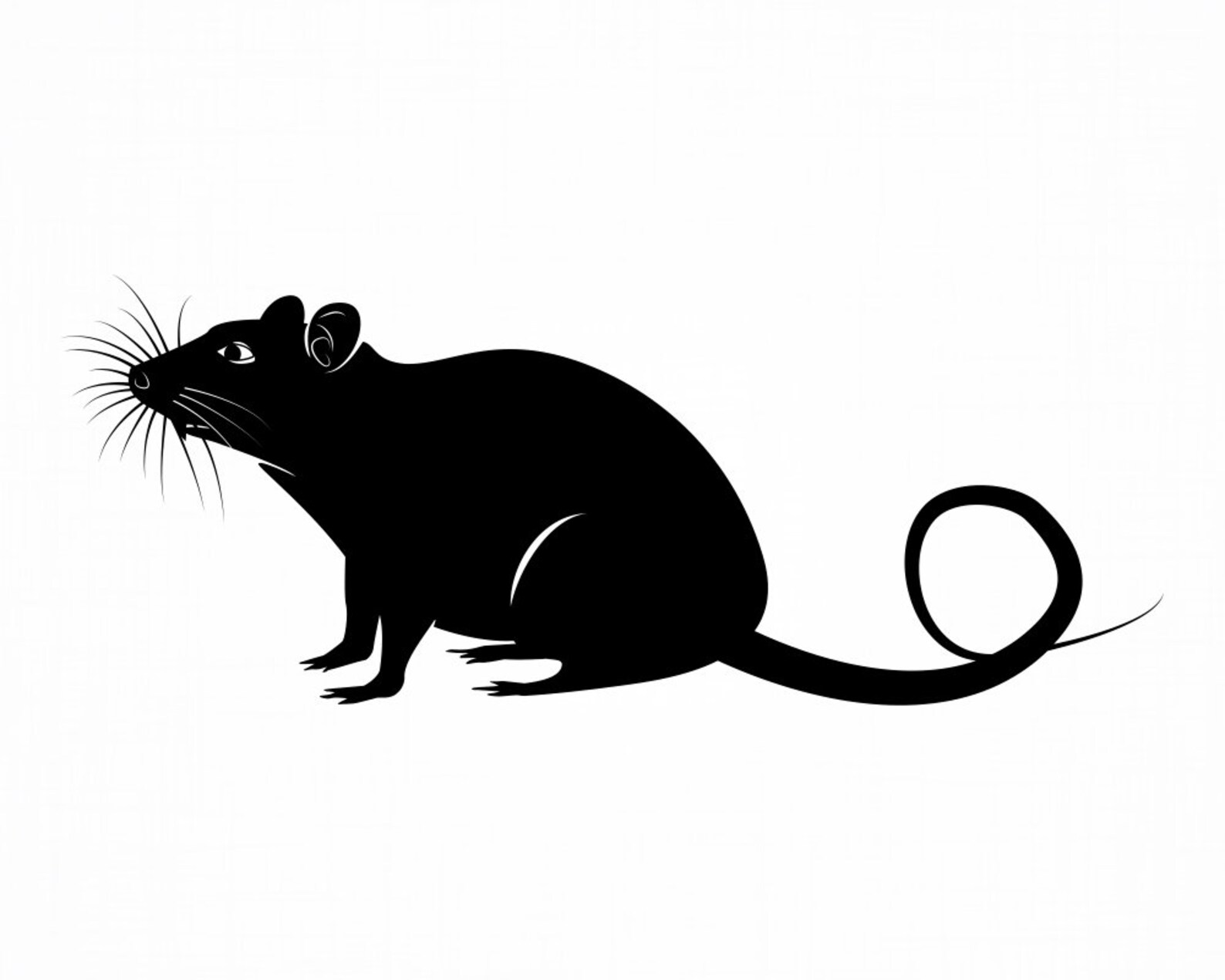 Rat 2 Svg Rat Svg Rodent Svg Rat Cut Files Rat Clipart | Etsy