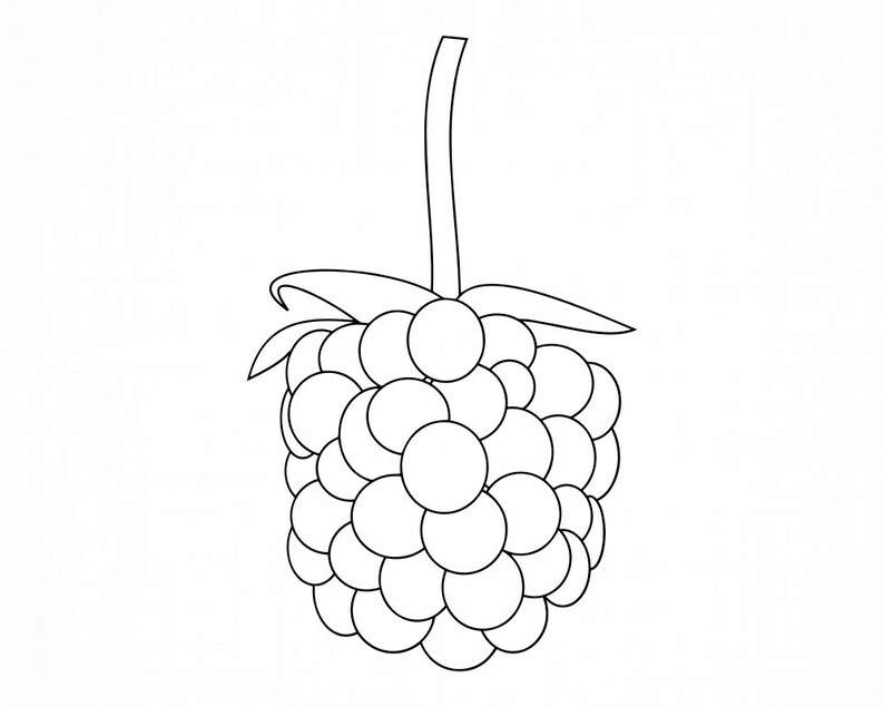 Pdf Eps Raspberry Outline Svg Dxf Raspberry Files For Cricut Raspberry ...