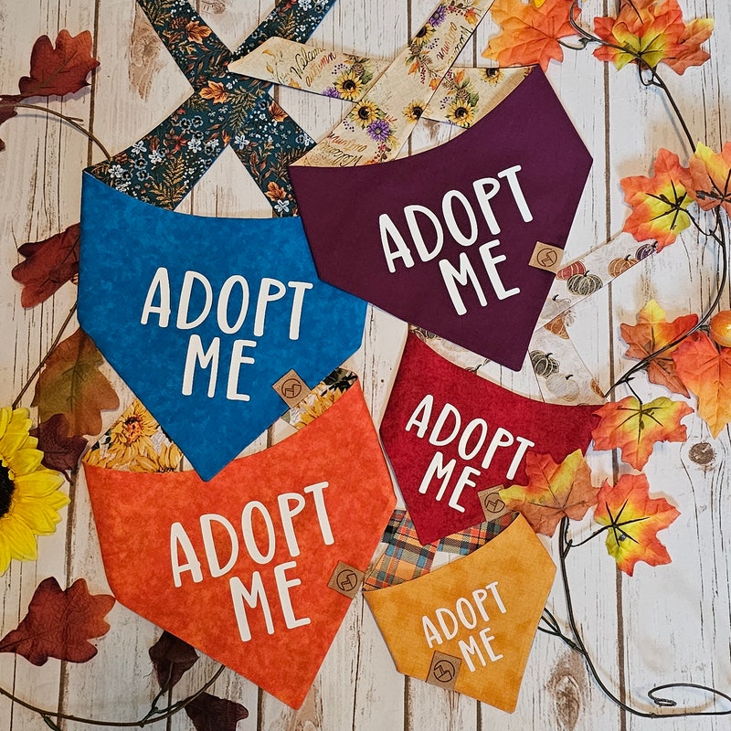 Orange Pets Adopt Me - Etsy