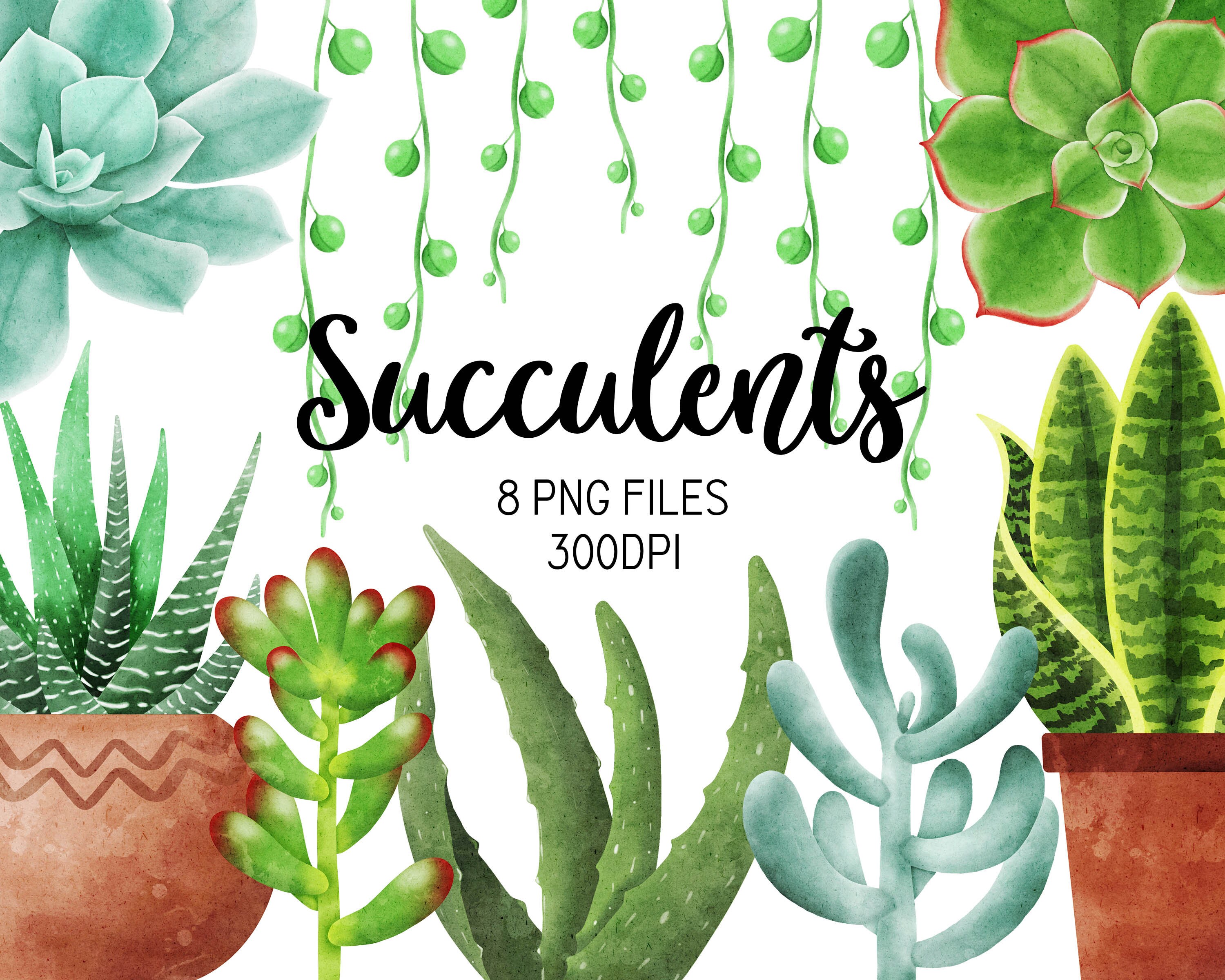 Watercolor Succulent Clip Art Watercolour Succulent Art - Etsy