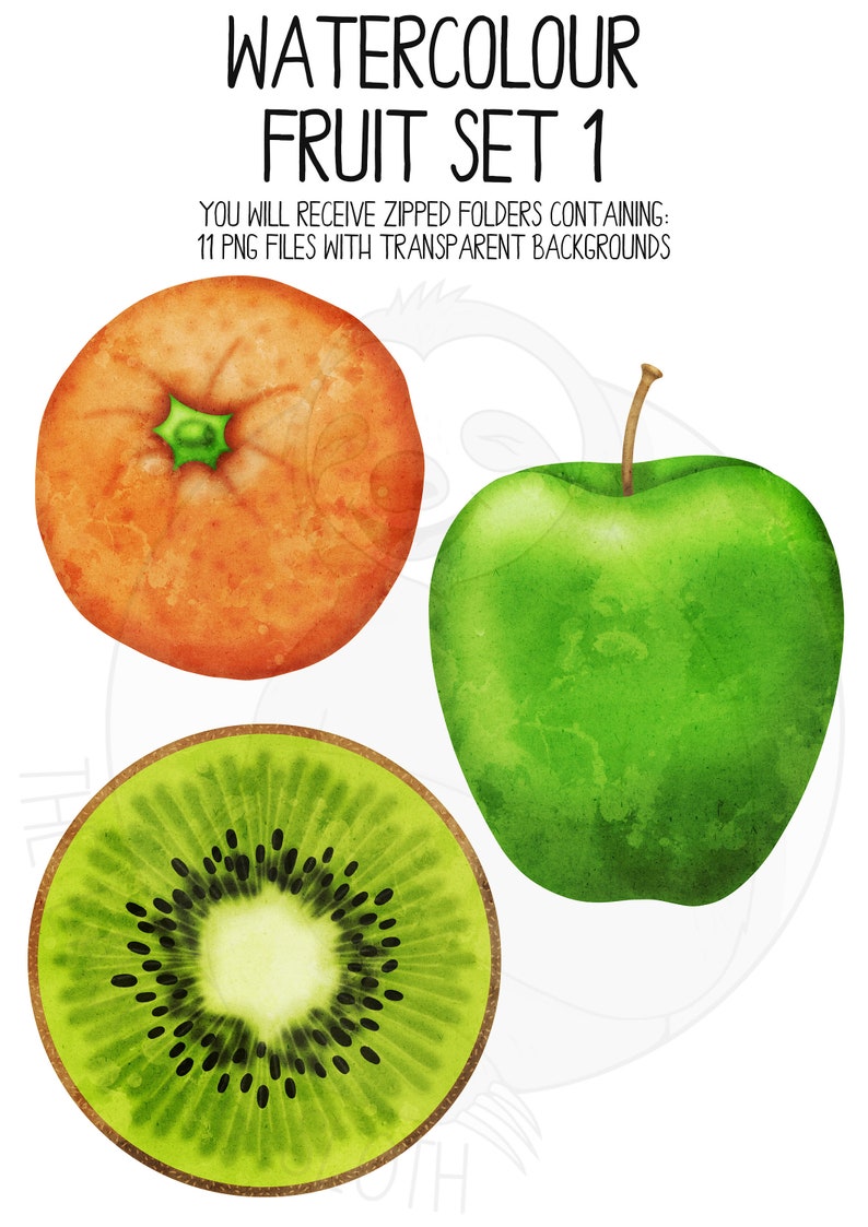 Watercolor Fruit Clip Art Watercolour Food Art Download - Etsy
