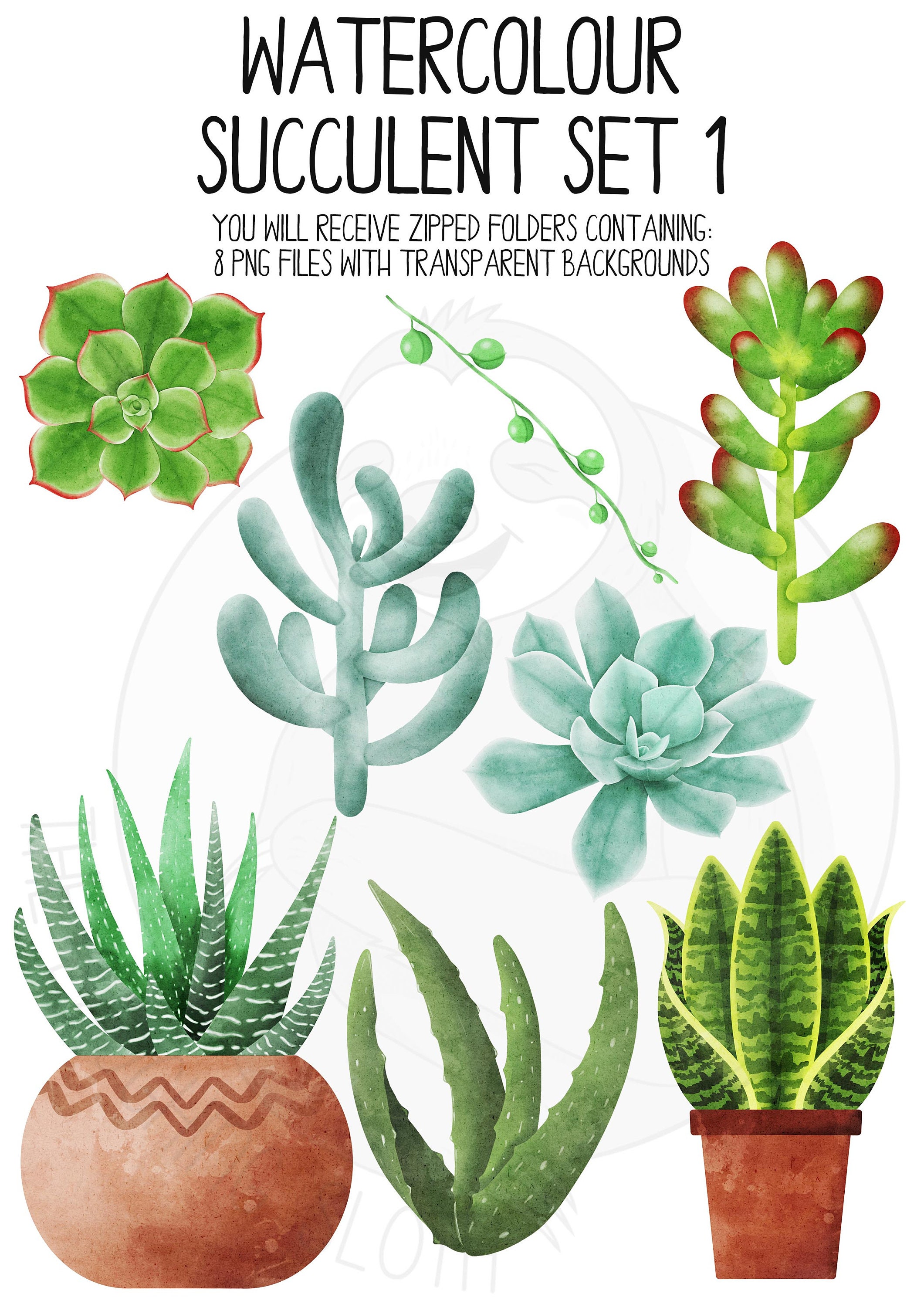 Watercolor Succulent Clip Art Watercolour Succulent Art - Etsy