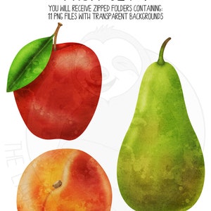 Watercolor Fruit Clip Art Watercolour Food Art Download - Etsy