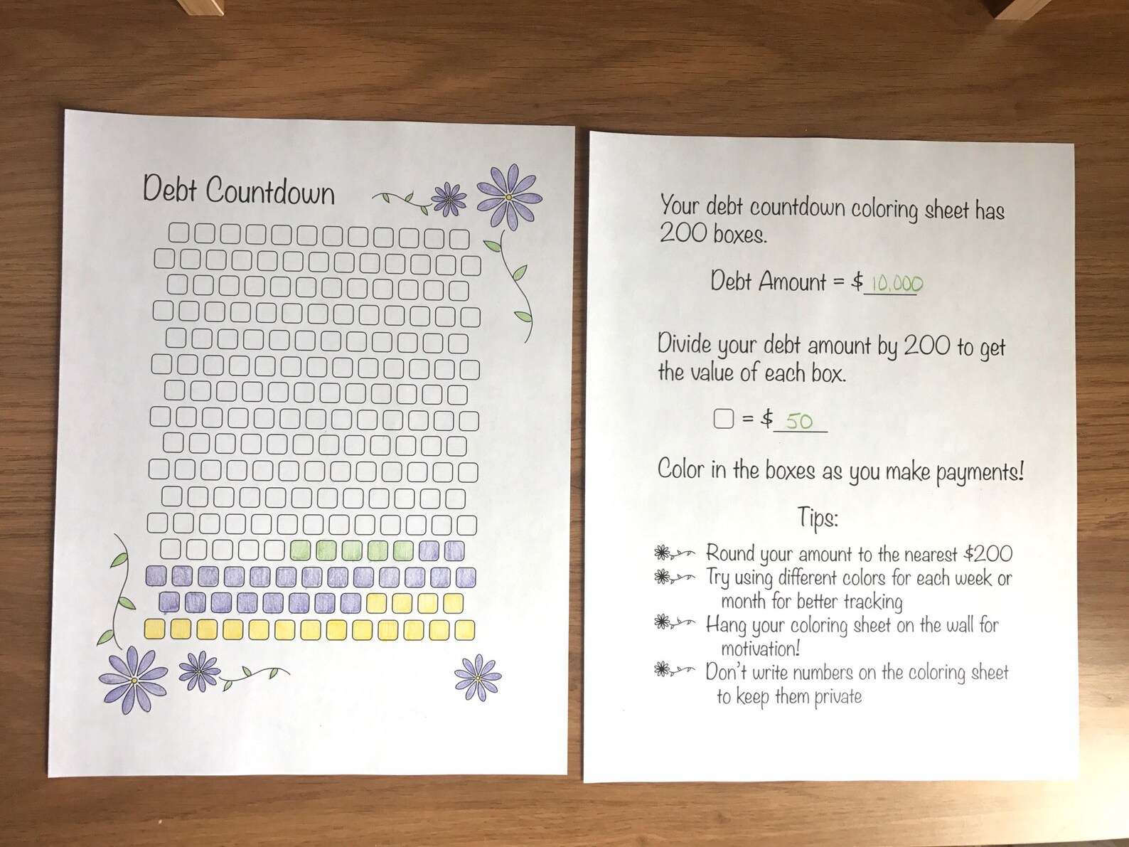 Debt Countdown Printable Coloring Sheet - Flowers - Etsy