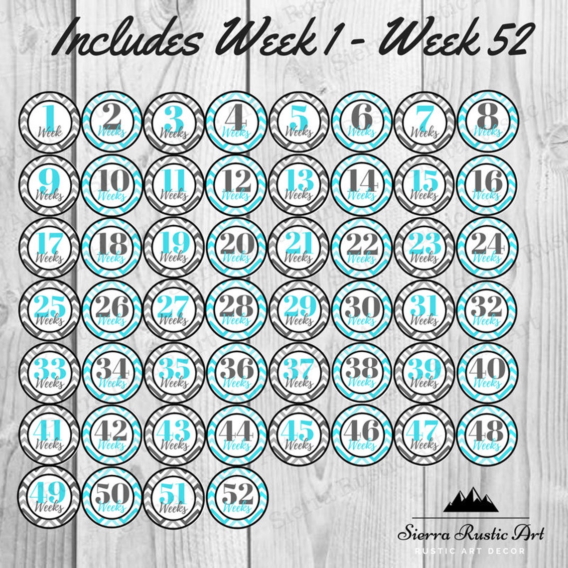 Printable Baby Weekly Milestone Photo Prop Circles Teal | Etsy