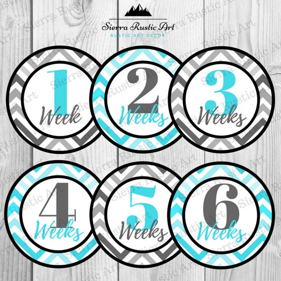 Printable Baby Weekly Milestone Photo Prop Circles Teal | Etsy