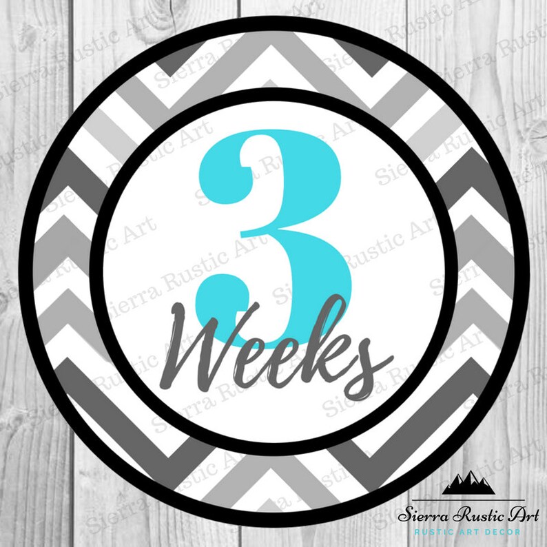 Printable Baby Weekly Milestone Photo Prop Circles Teal | Etsy