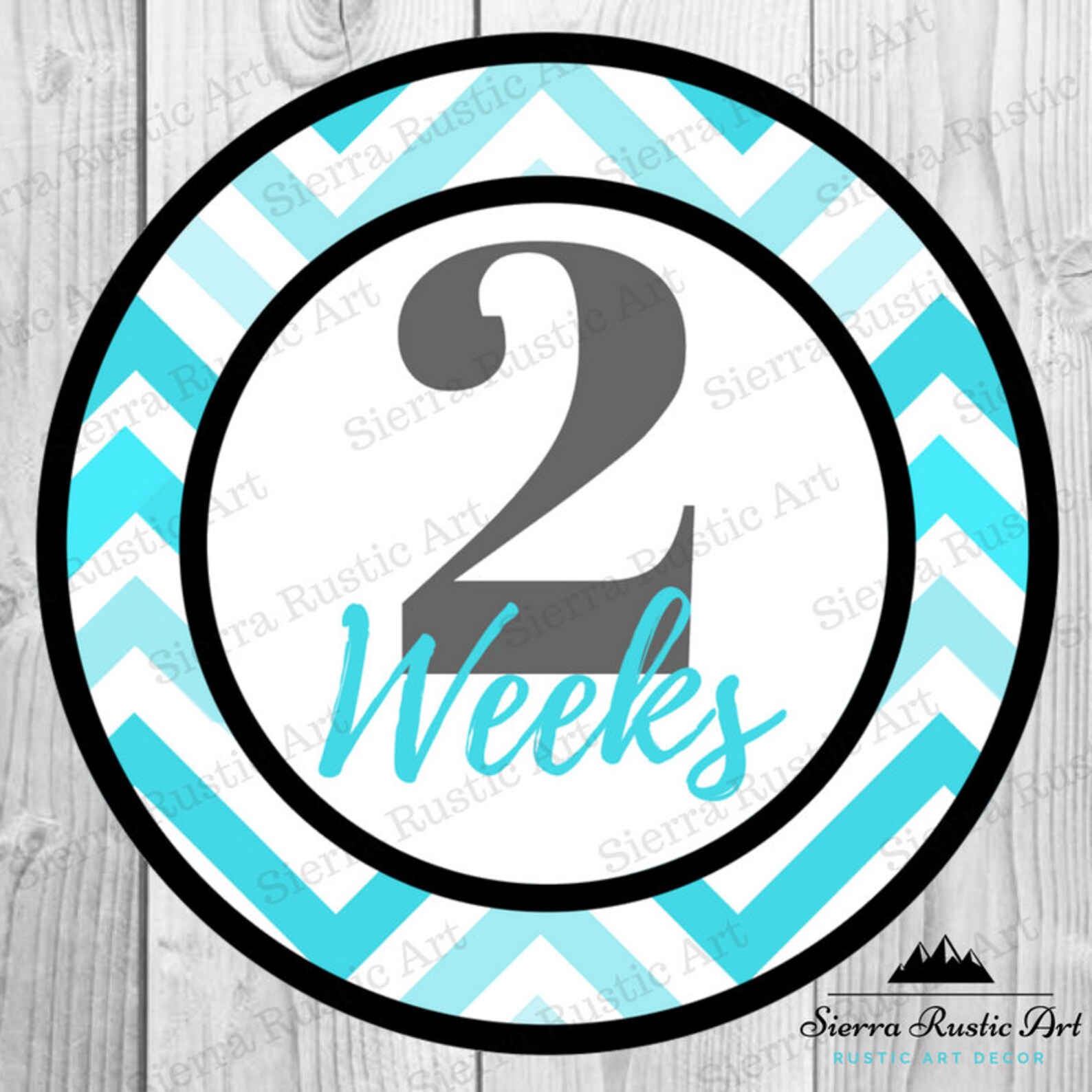 Printable Baby Weekly Milestone Photo Prop Circles Teal | Etsy