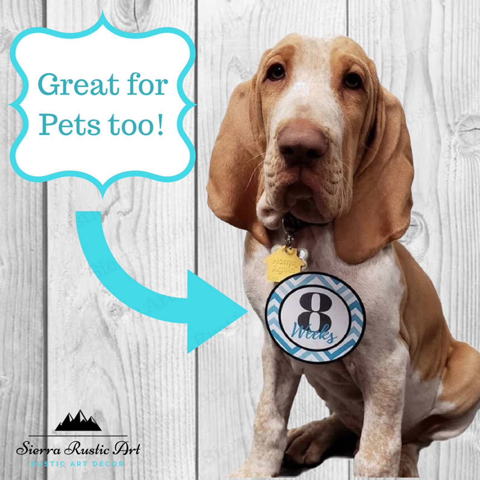 Printable Baby Weekly Milestone Photo Prop Circles Teal | Etsy