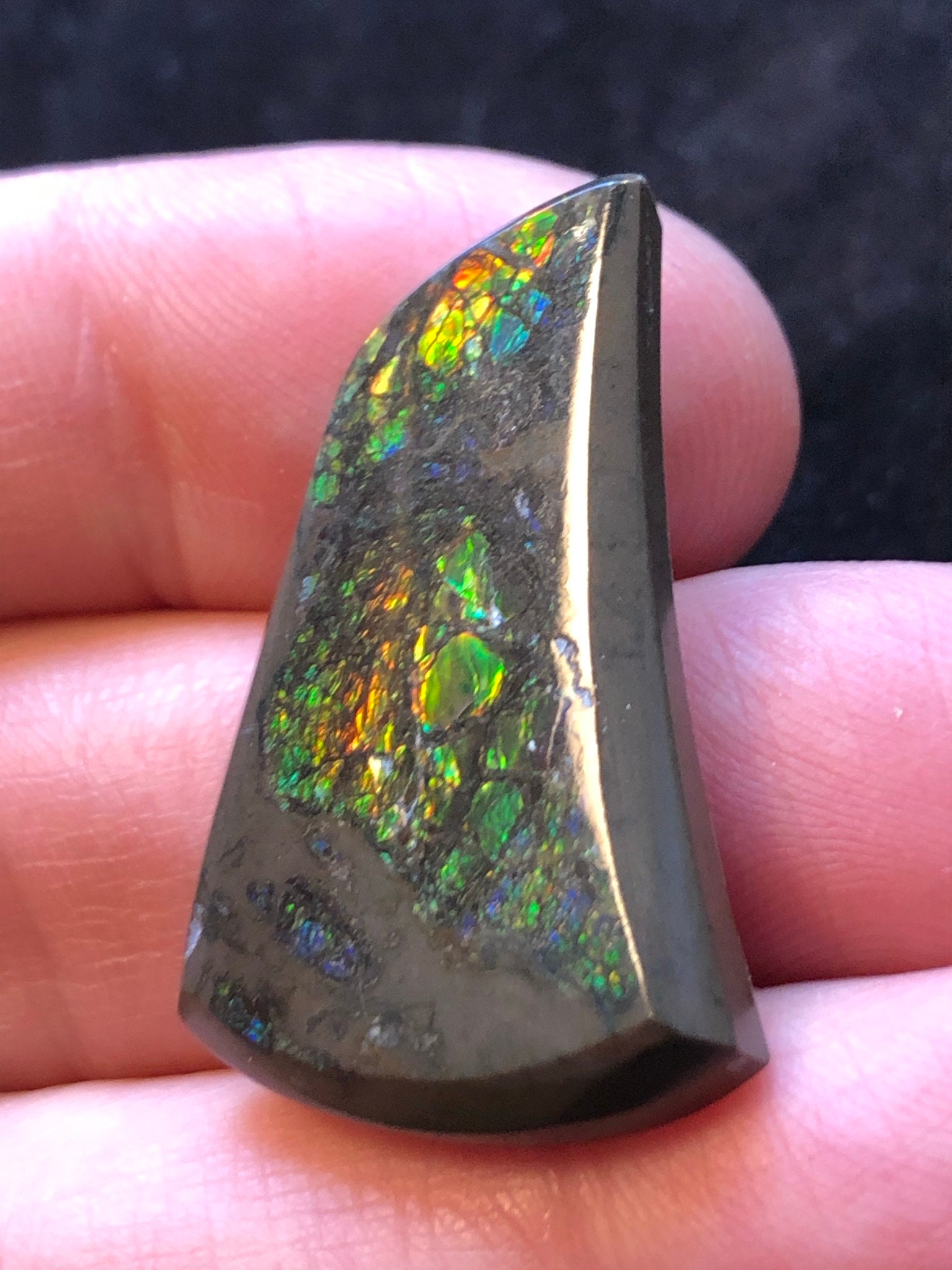 Freeform Stabilized Natural Ammolite Cabochon Fossil Stone Jewellery ...