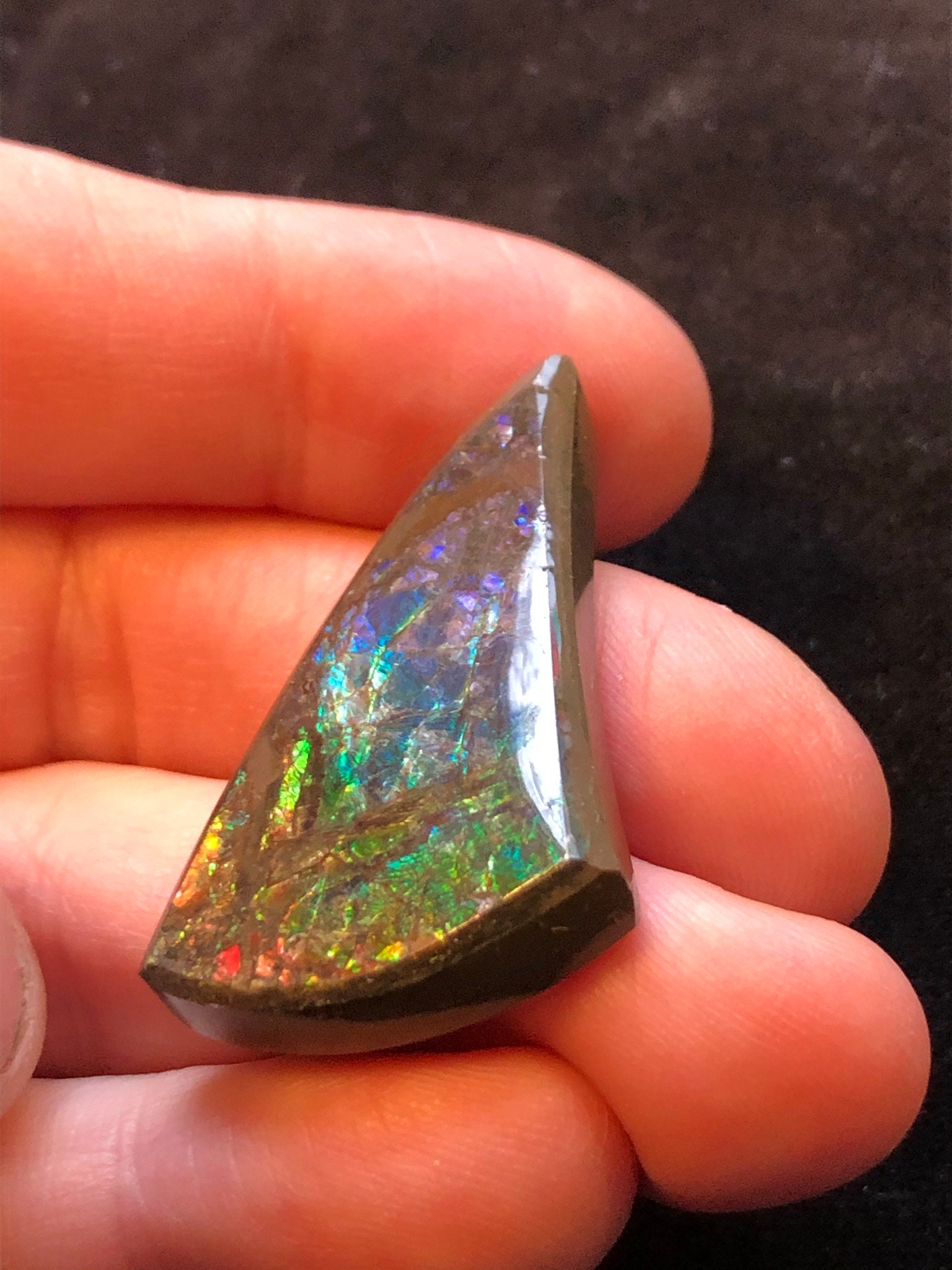 Freeform Stabilized Natural Ammolite Cabochon Fossil Stone - Etsy UK